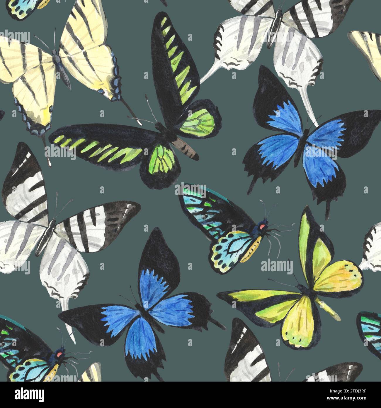 Watercolor seamless pattern with beautiful tropical butterflies. Hand ...