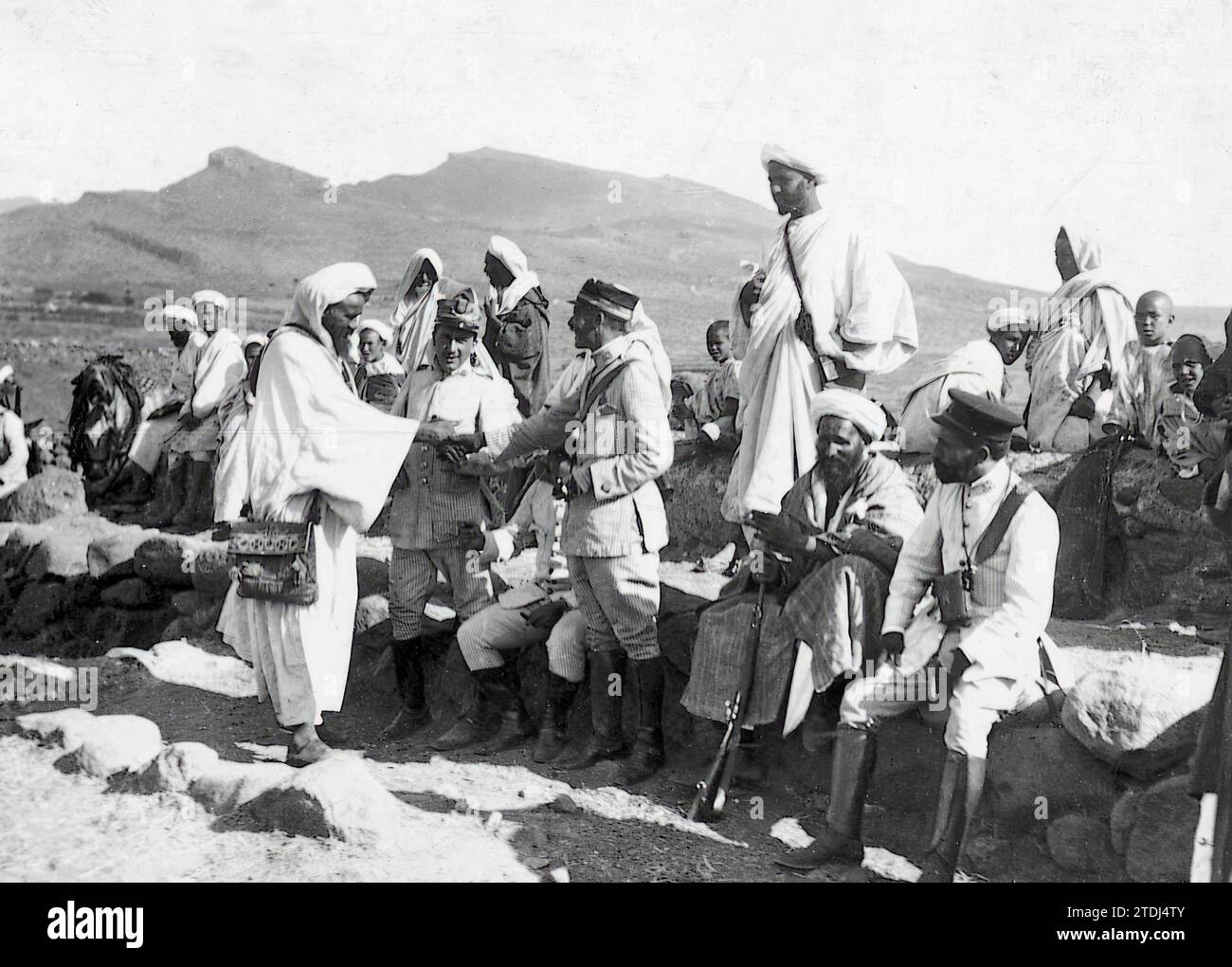 Asmani gato hi-res stock photography and images - Alamy