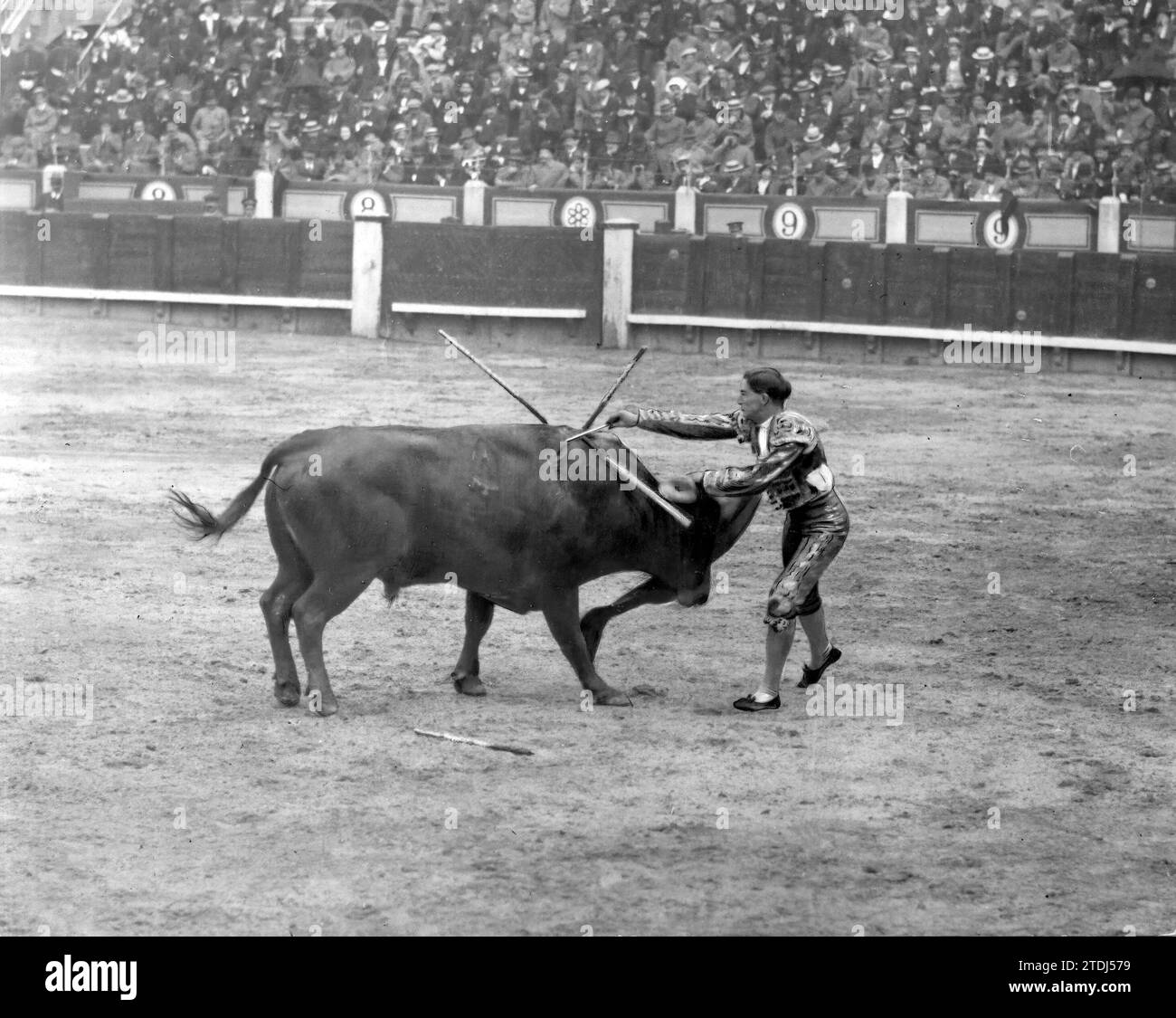 05/01/1914. José Gómez (gallito) hitting his first bull. Credit: Album ...