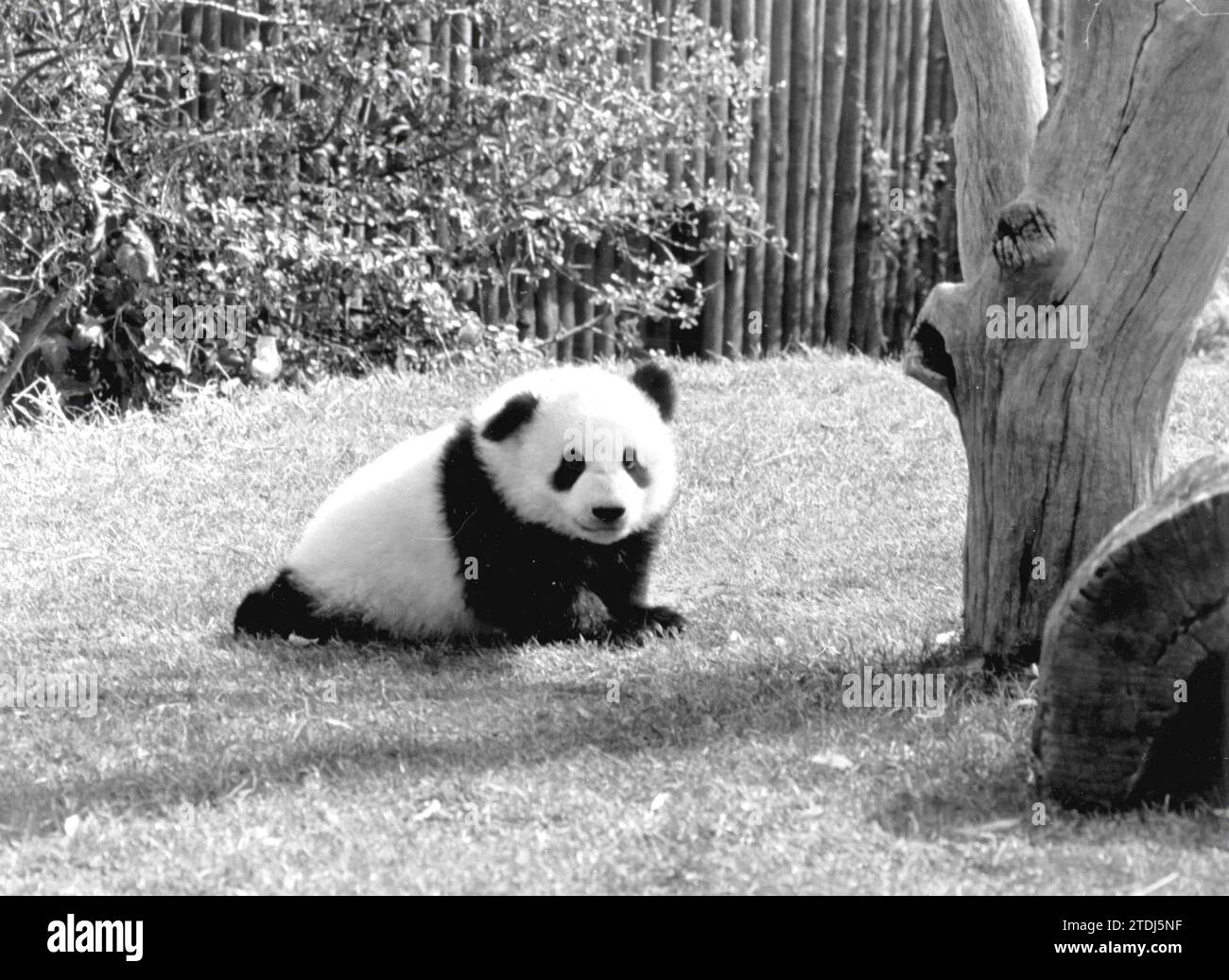 Country chu hi-res stock photography and images - Alamy