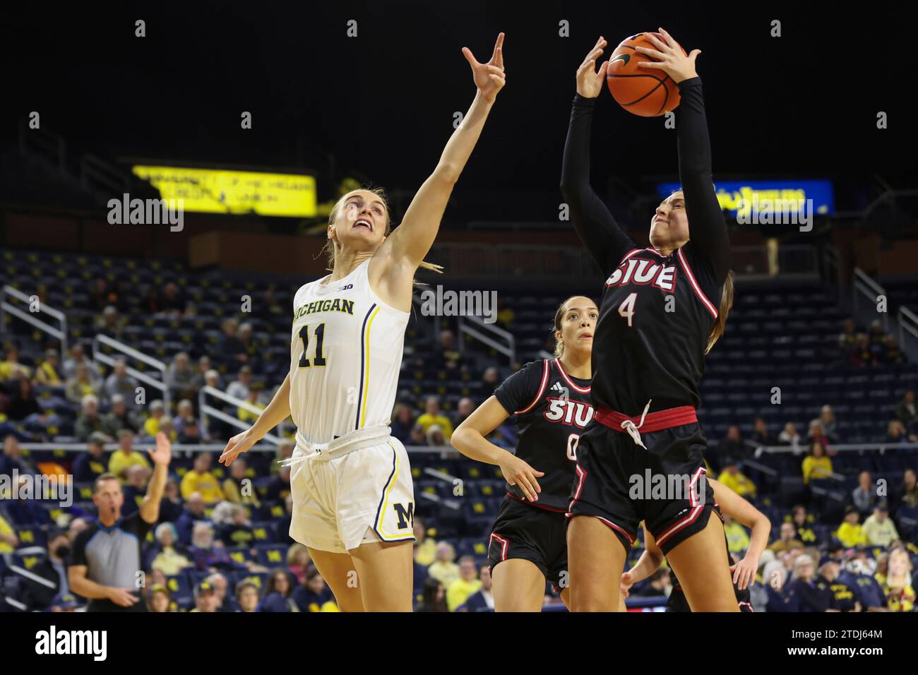 ANN ARBOR, MI - NOVEMBER 29: SIUE Cougars guard Macy Silvey (4) grabs a ...