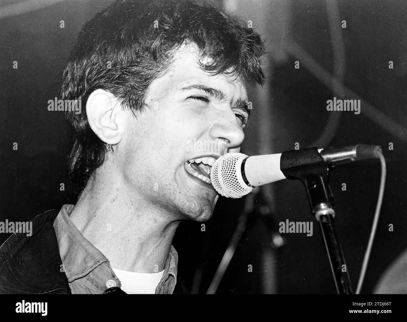 Carlos Garcia Berlanga in 1981. Credit: Album / Archivo ABC Stock Photo ...