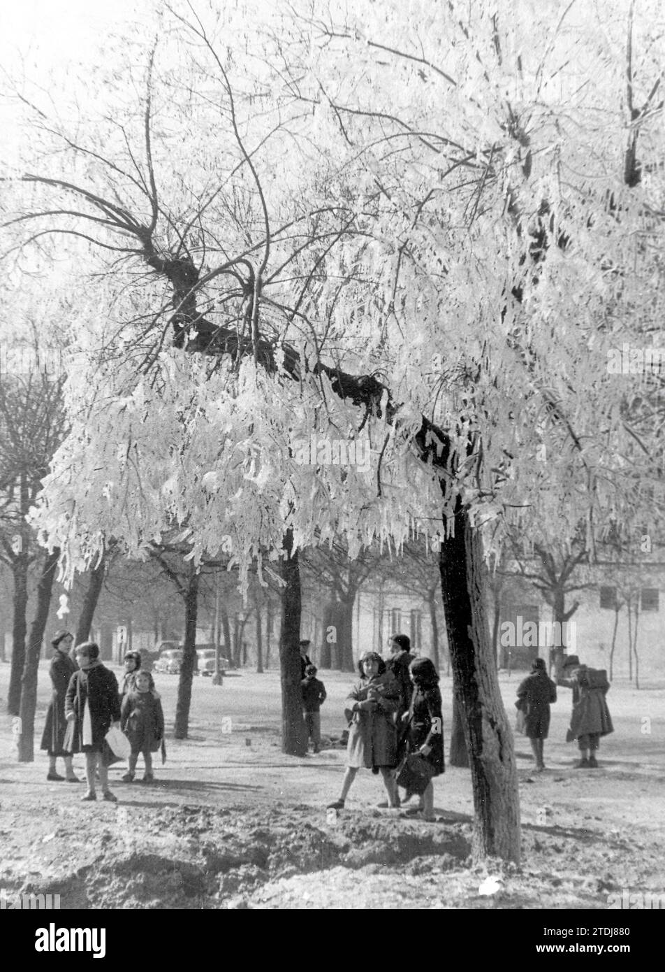February 1956. Winter in Madrid. Image of a park in Madrid. The leaves ...