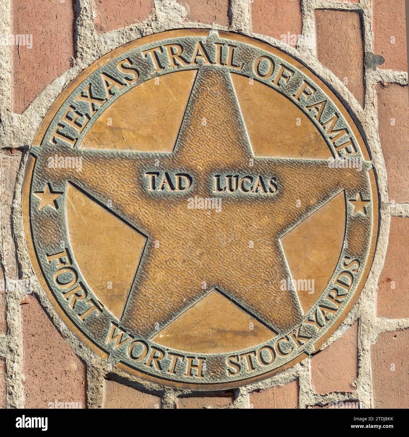 Tad lucas hi-res stock photography and images - Alamy