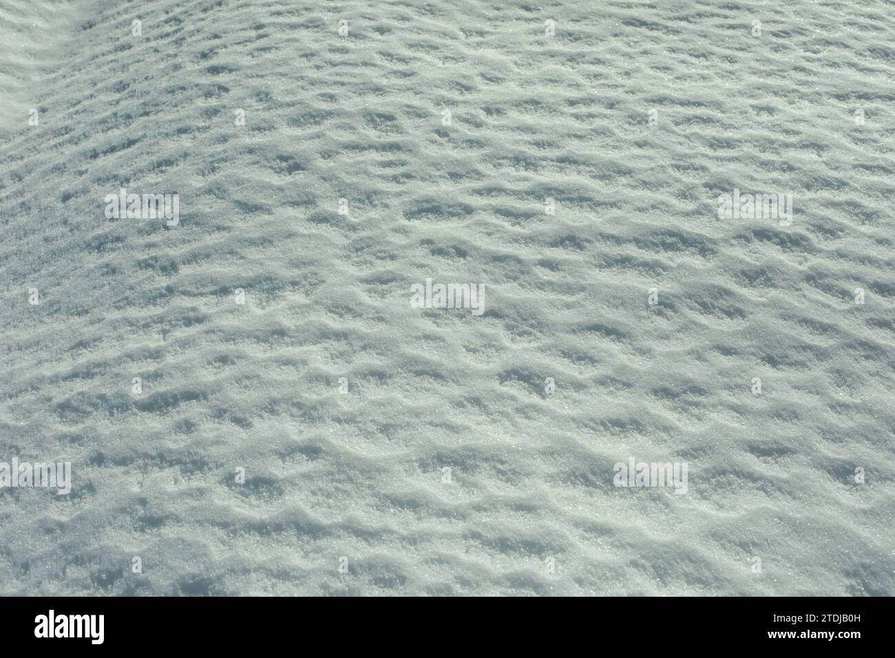 Texture of spring snow. Layer of ice. Details of winter nature. Snow ...