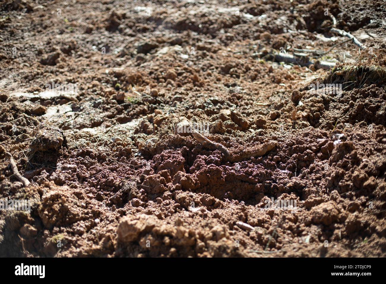 Excavated soil. Broken land. Texture of mud. Clay and soil. Open ...