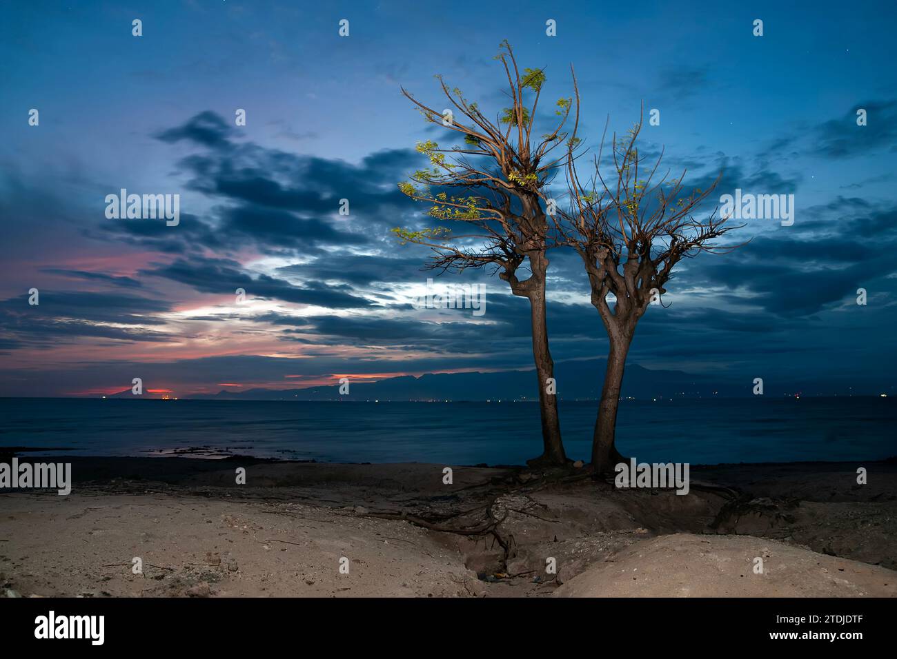 The sunrise on the Gili Islands looks like trees with fallen branches ...