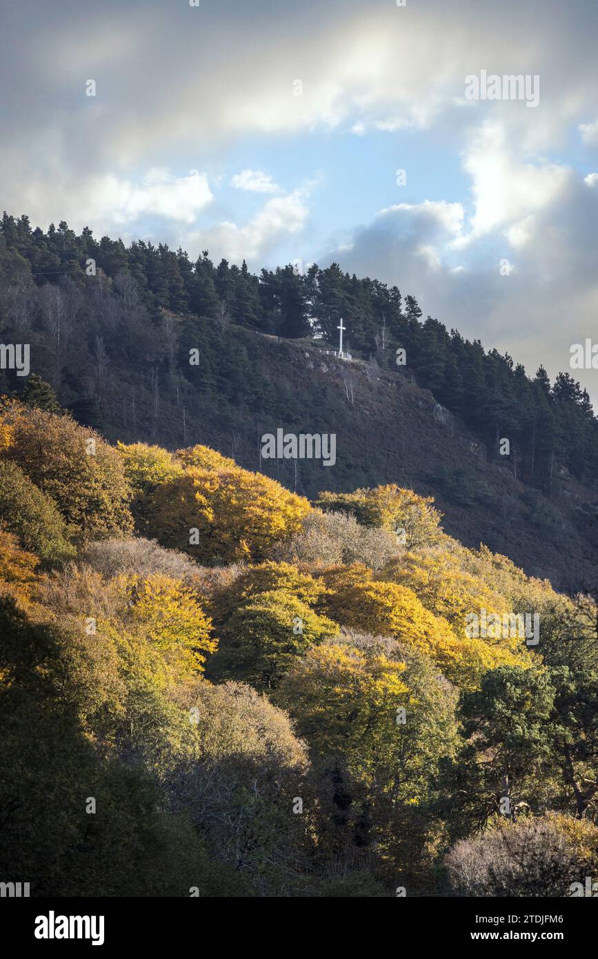 Avoca Miners Cross seen from the Meeting of the Waters, Co. Wicklow ...