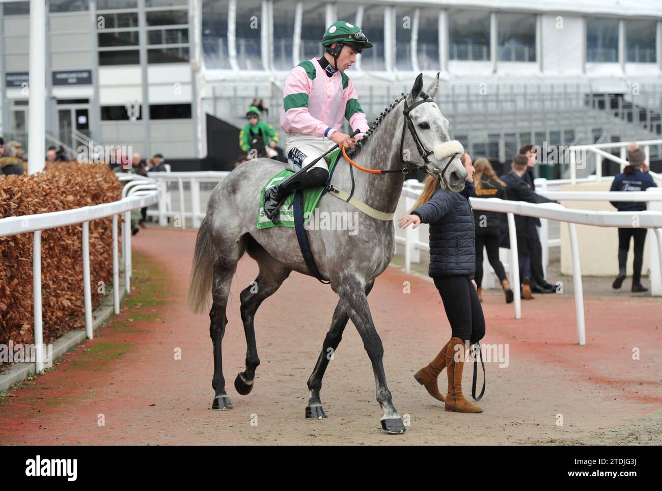Cheltenham racecourse, horse racing hi-res stock photography and images ...