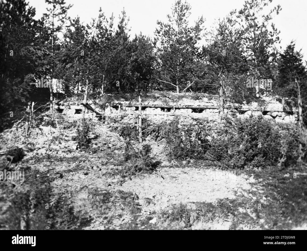 05/31/1915. What Was the Place of a Combat. Russian Trenches Taken by ...