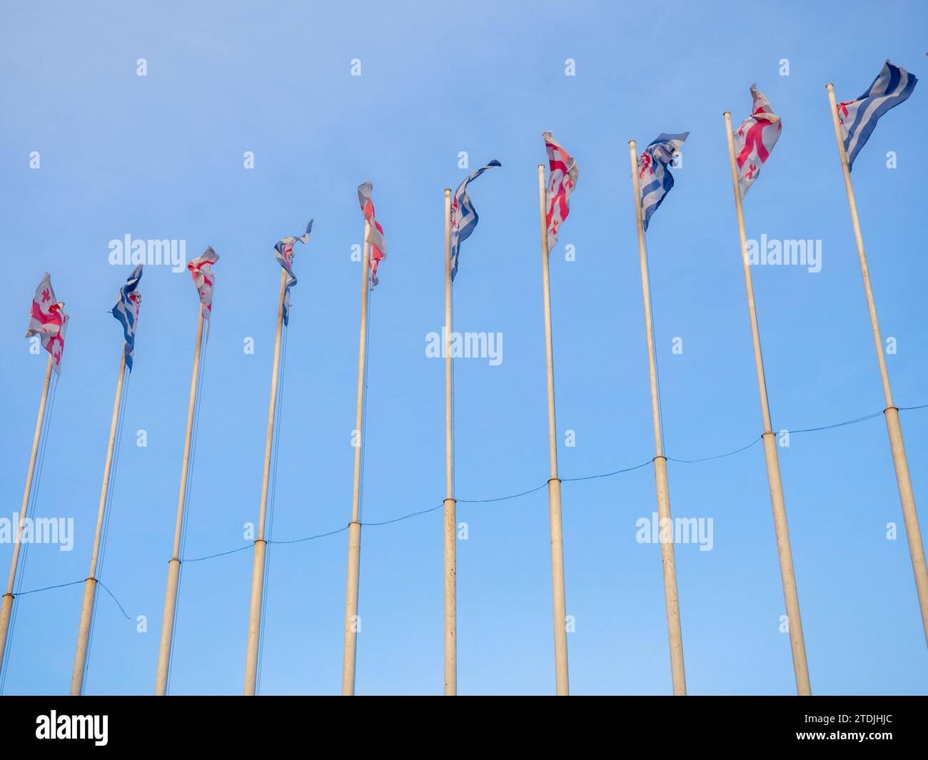 Many flags on flagpoles. Flags in the wind. State symbols. Flag of ...