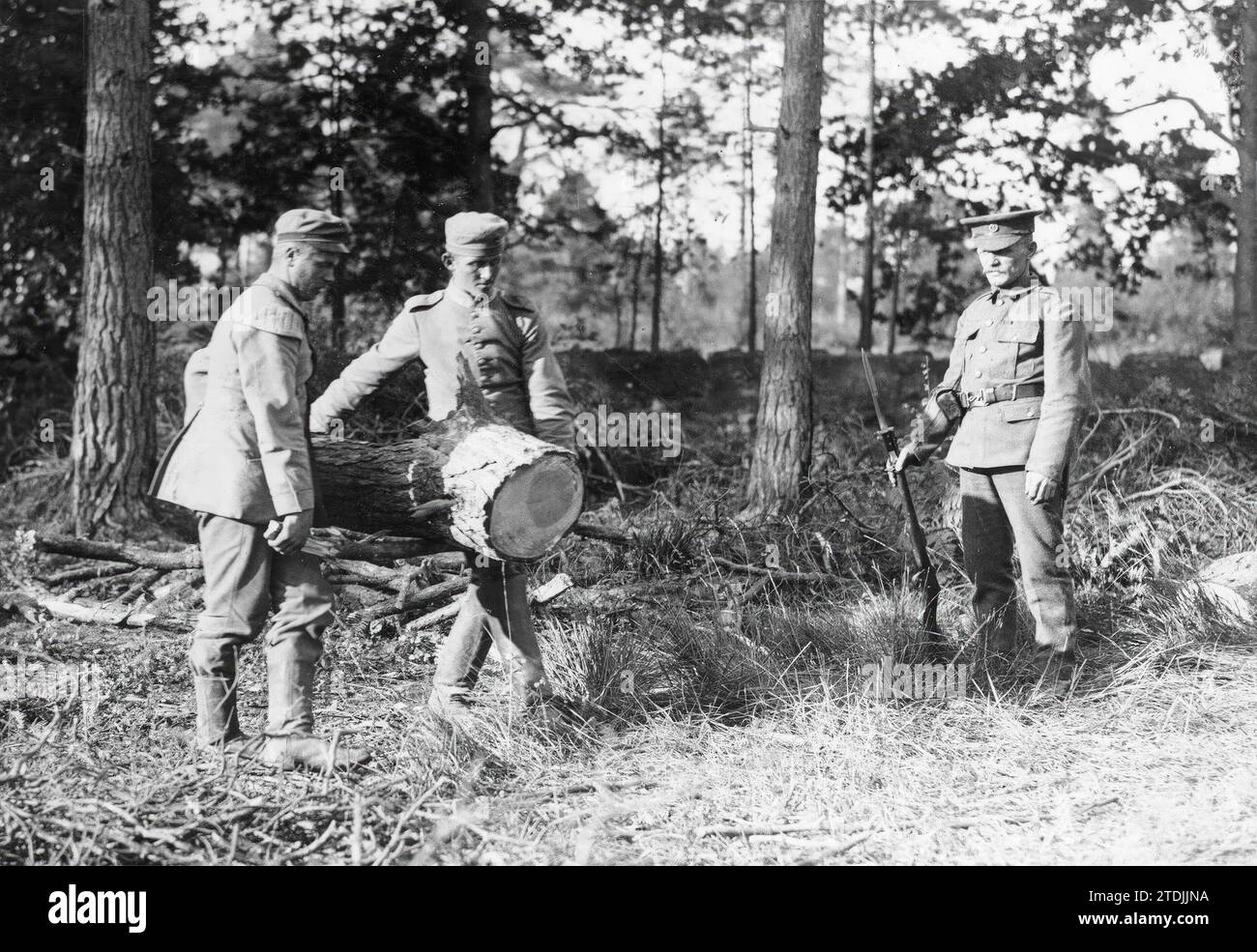 09/30/1914. The occupation of the Prisoners of War. German Prisoner ...