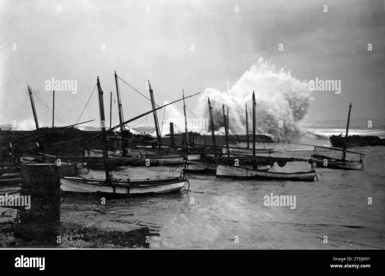 01/31/1915. Temporary in the port of Melilla. Appearance of the calf ...