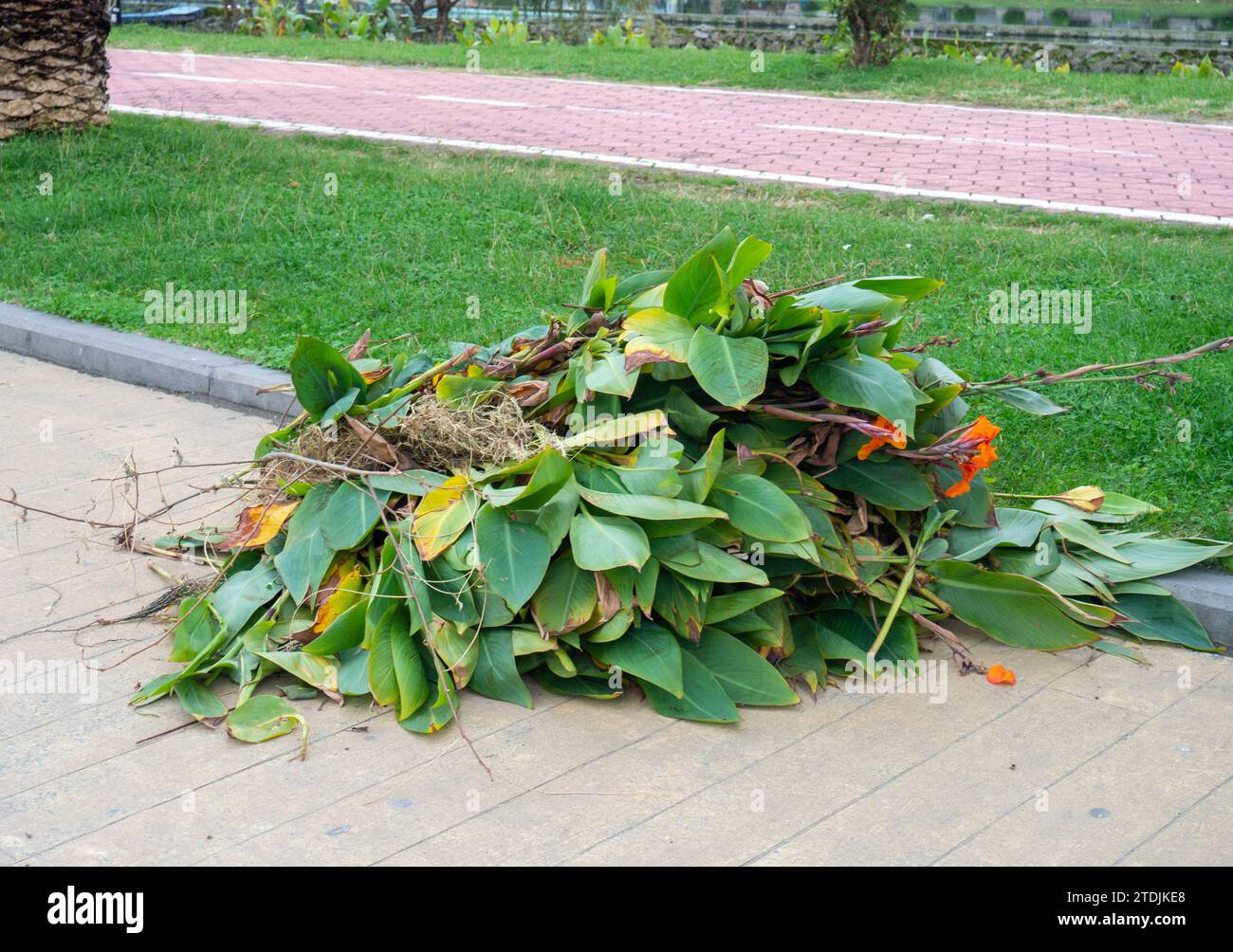 Work of landscaping services. Cut leaves on the sidewalk in the park ...