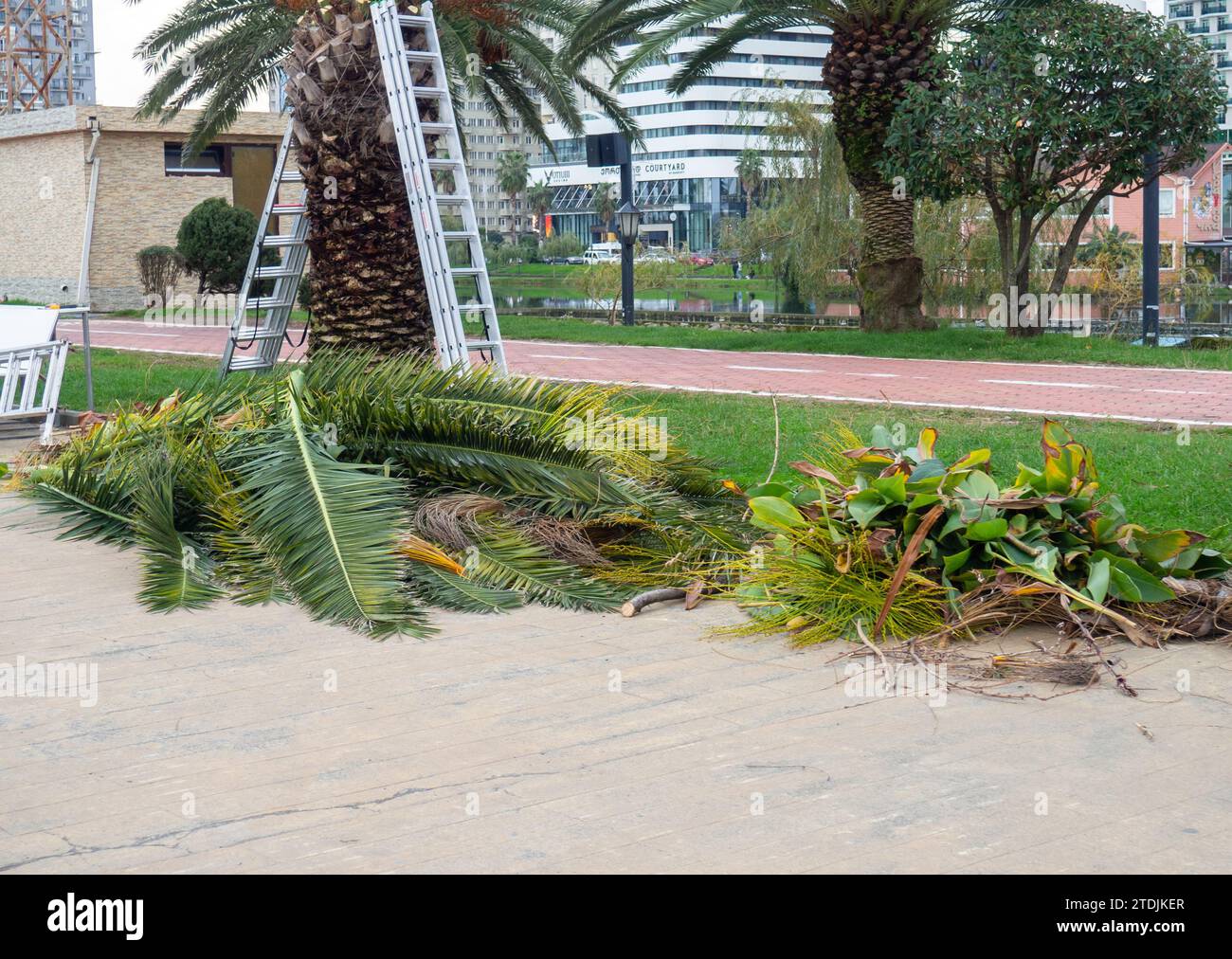 Work of landscaping services. Cut leaves on the sidewalk in the park ...