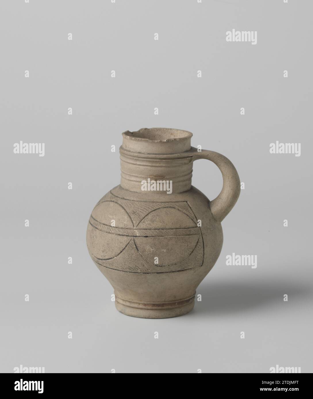 Wide yellow band on abdomen hi-res stock photography and images - Alamy