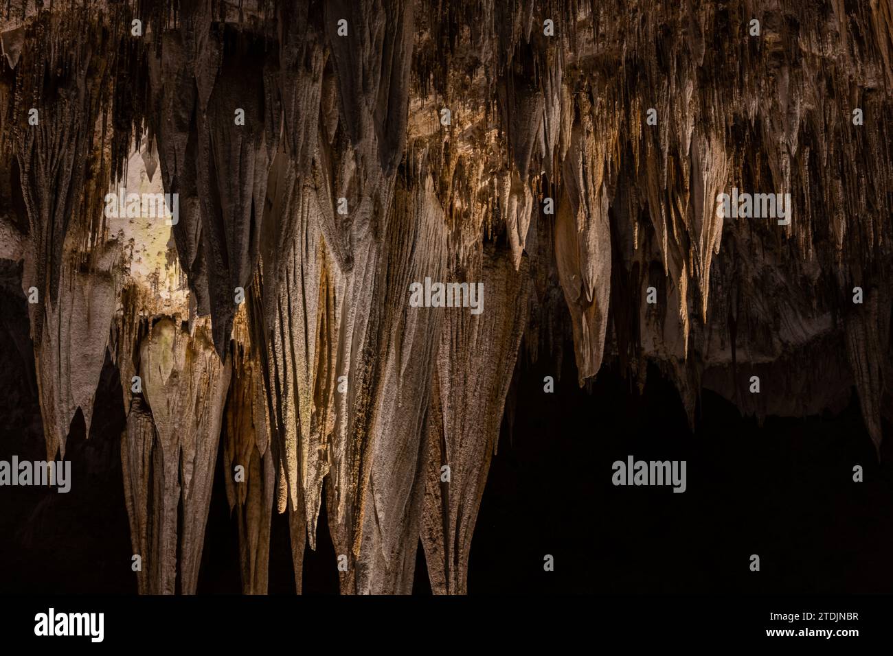 Cave ceiling carlsbad caverns national hi-res stock photography and ...