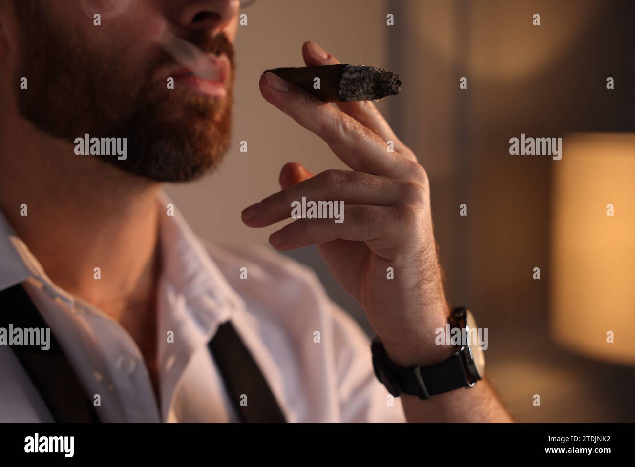 Cigar smoking room hi-res stock photography and images - Alamy