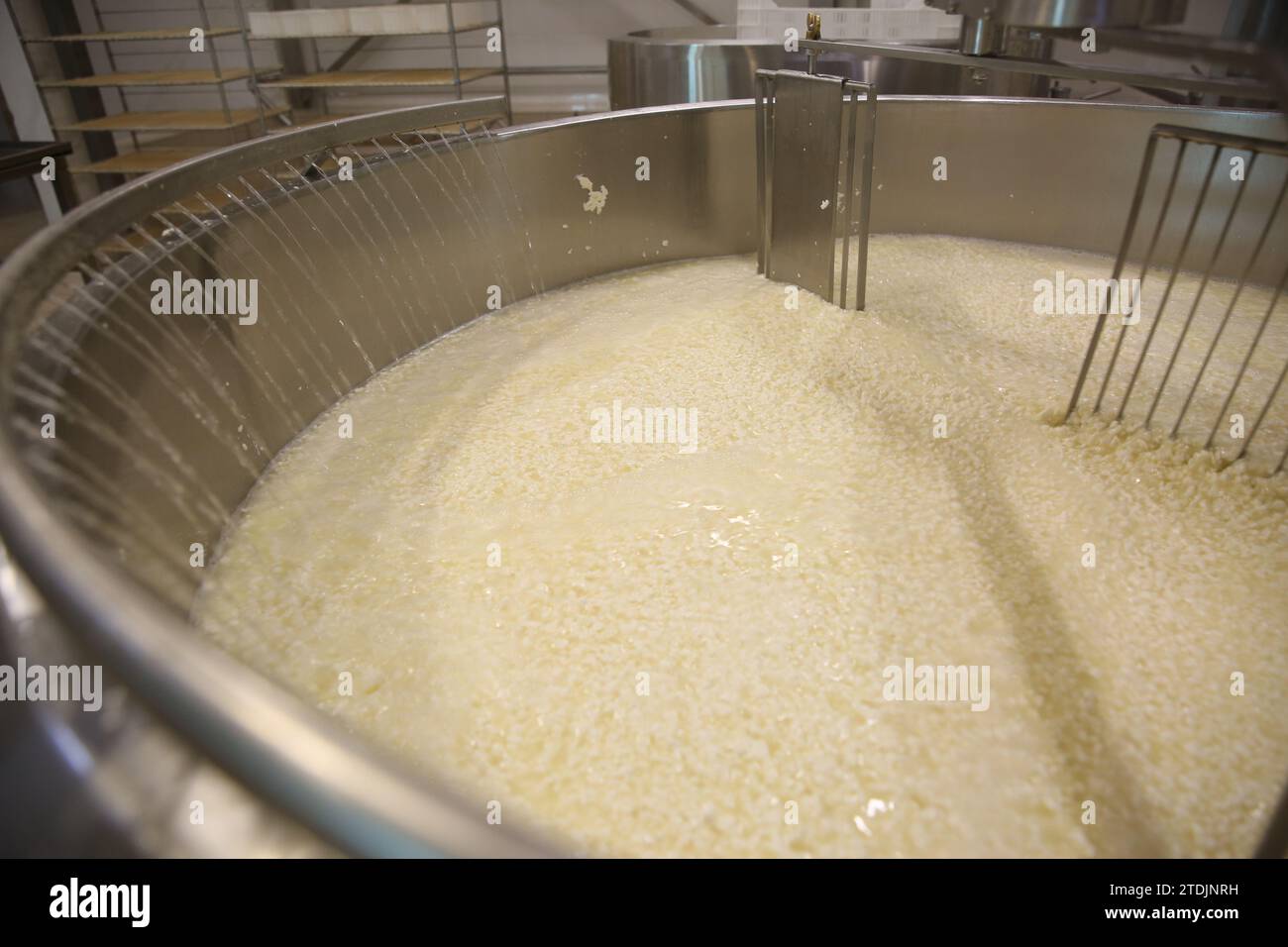 Adding water to curd and whey in tank at cheese factory Stock Photo - Alamy