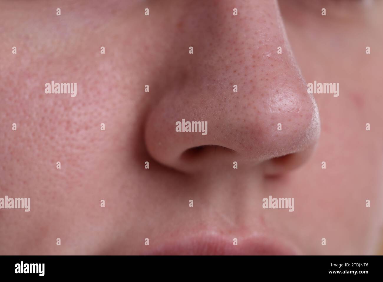 Skin texture on the nose hi-res stock photography and images - Alamy