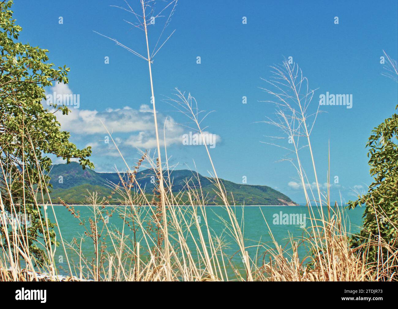Wangetti Beach to Rex Lookout through dry native grass on the scenic ...