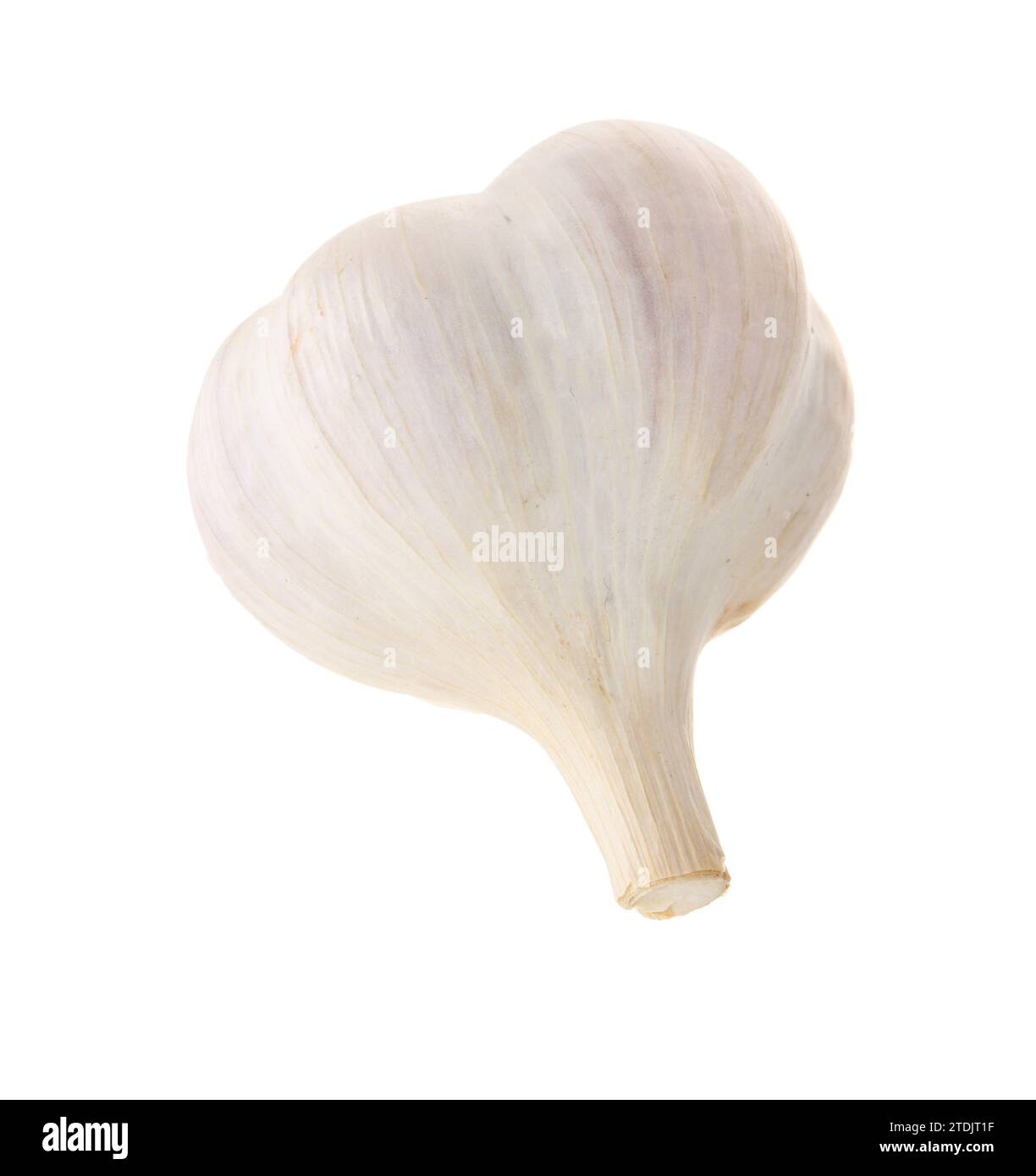 Unpeeled head of fresh garlic isolated on white Stock Photo - Alamy