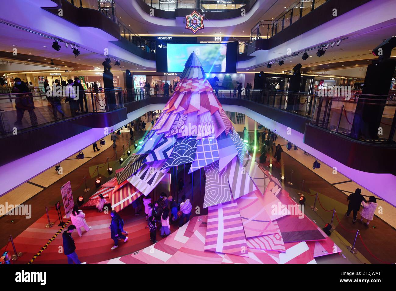 HANGZHOU, CHINA - DECEMBER 19, 2023 - Customers view a 9-meter-tall ...