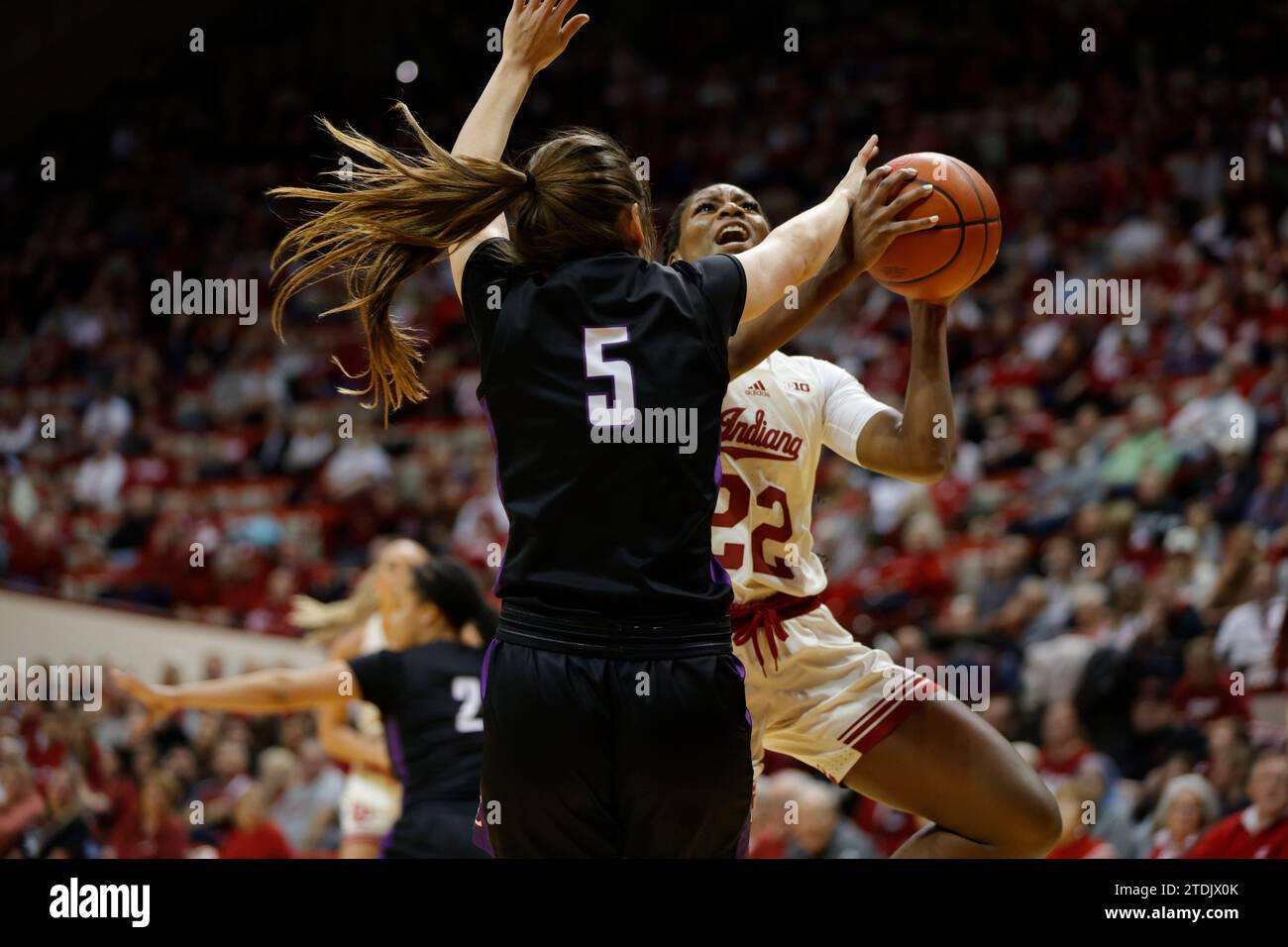 Julia mcneil hi-res stock photography and images - Alamy