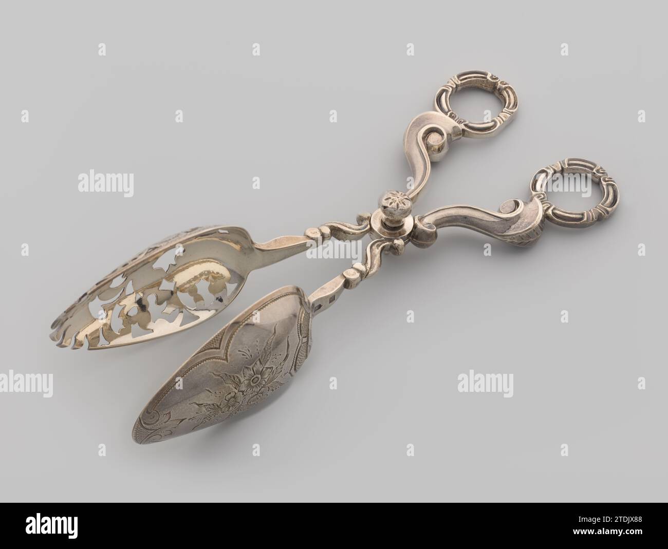 Salad or cucumber tang, company Wed. Elize Henrij de Haas, 1851 The ...