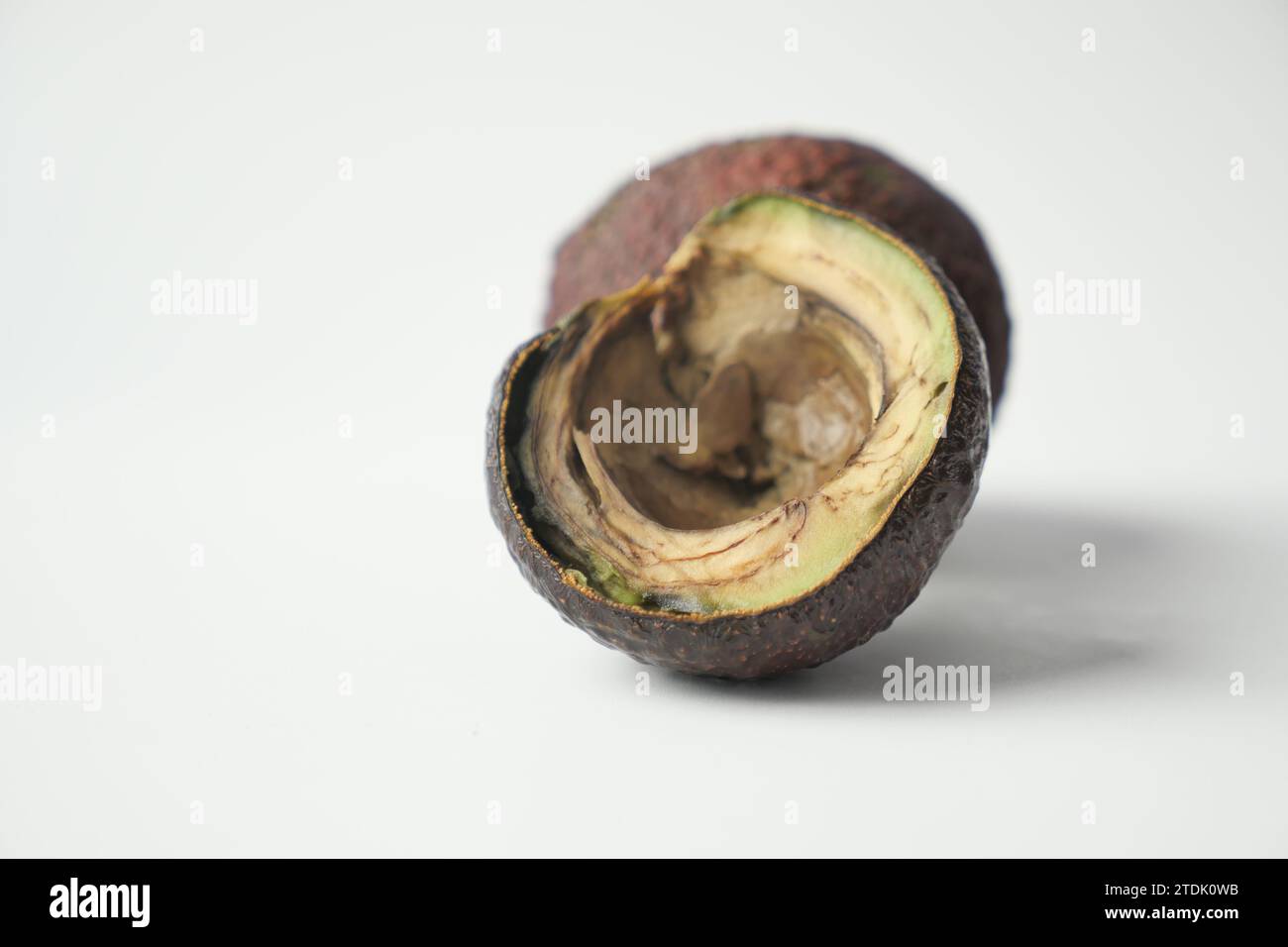 A rotten avocado on a white background Stock Photo - Alamy