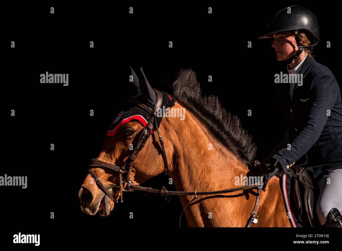 equestrian stock images Stock Photo - Alamy