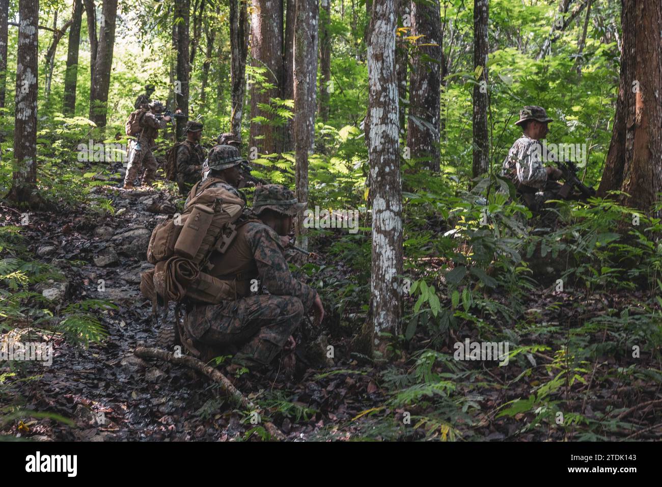 U.S. Marines with 1st Battalion, 7th Marine Regiment, attached to ...