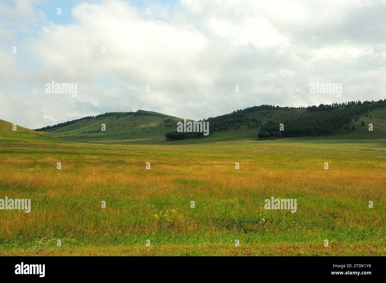 Flat land siberia hi-res stock photography and images - Alamy