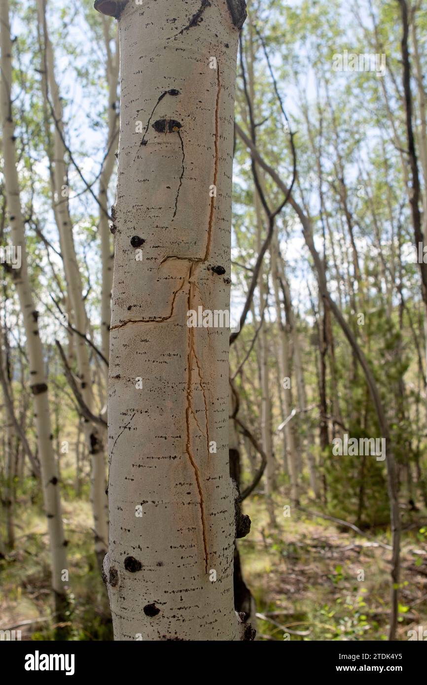 44521 hi-res stock photography and images - Alamy