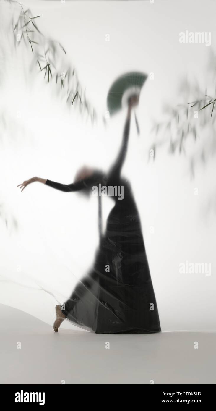 Asian dance tutorial hi-res stock photography and images - Alamy