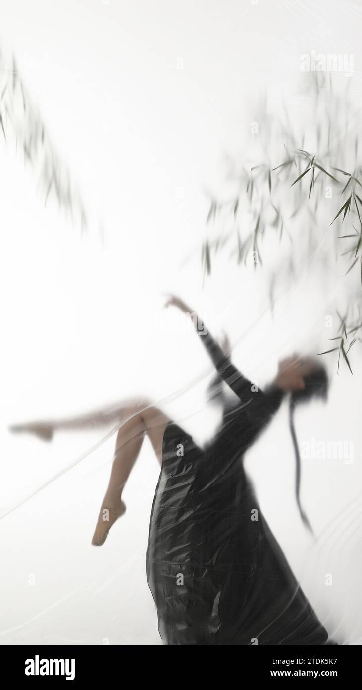 The Art of Dance in Asia Stock Photo - Alamy