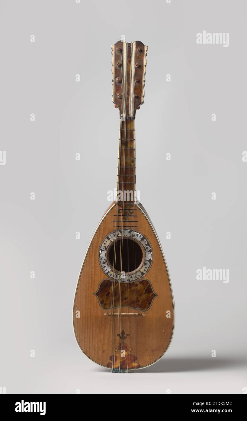 Neapolitan mandolin, c. 1770 - 1780 Napelse Mandolinemet turtle and ...