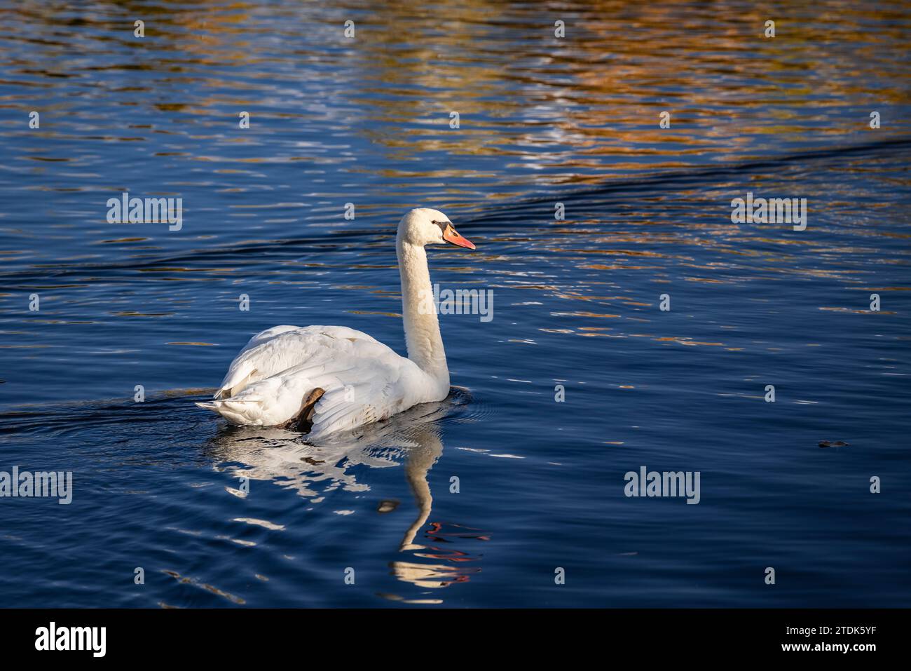 Etang de puigcerda hi-res stock photography and images - Alamy