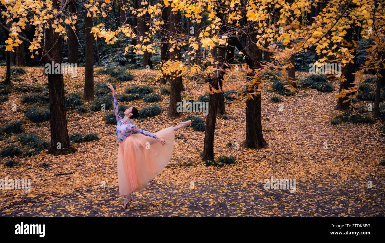 Asian dancers are dancing in the forest, the art of dancing in nature ...