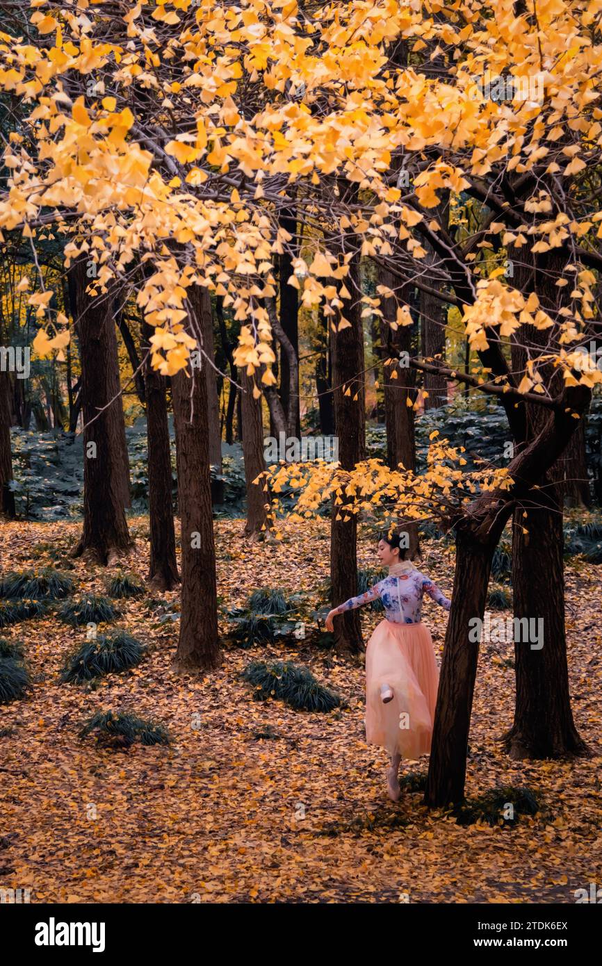 Asian dancers are dancing in the forest, the art of dancing in nature ...
