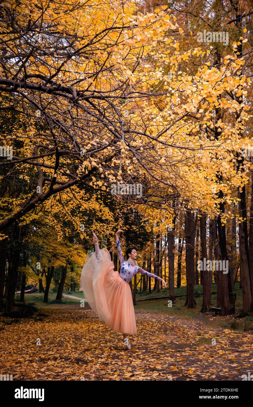 Asian dancers are dancing in the forest, the art of dancing in nature ...