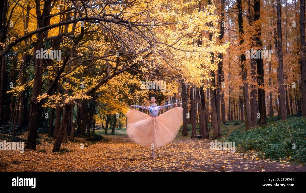 Asian dancers are dancing in the forest, the art of dancing in nature ...