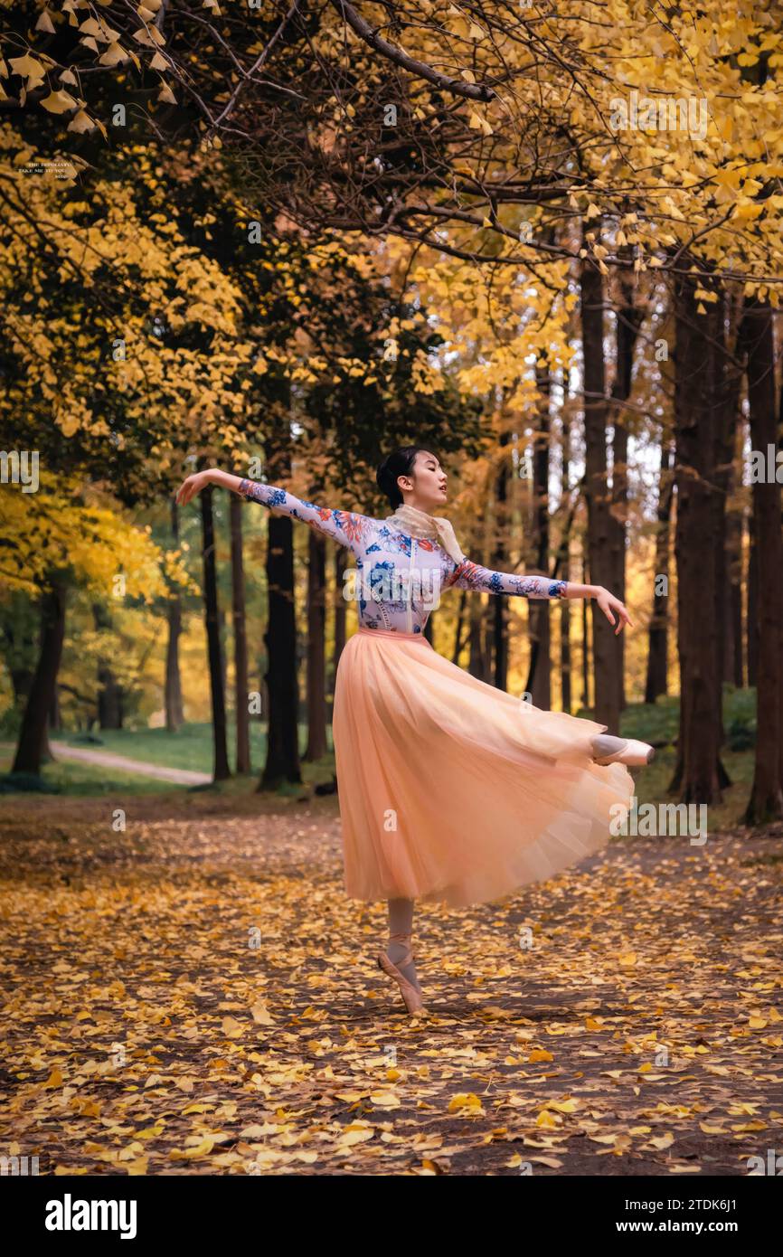 Asian dancers are dancing in the forest, the art of dancing in nature ...