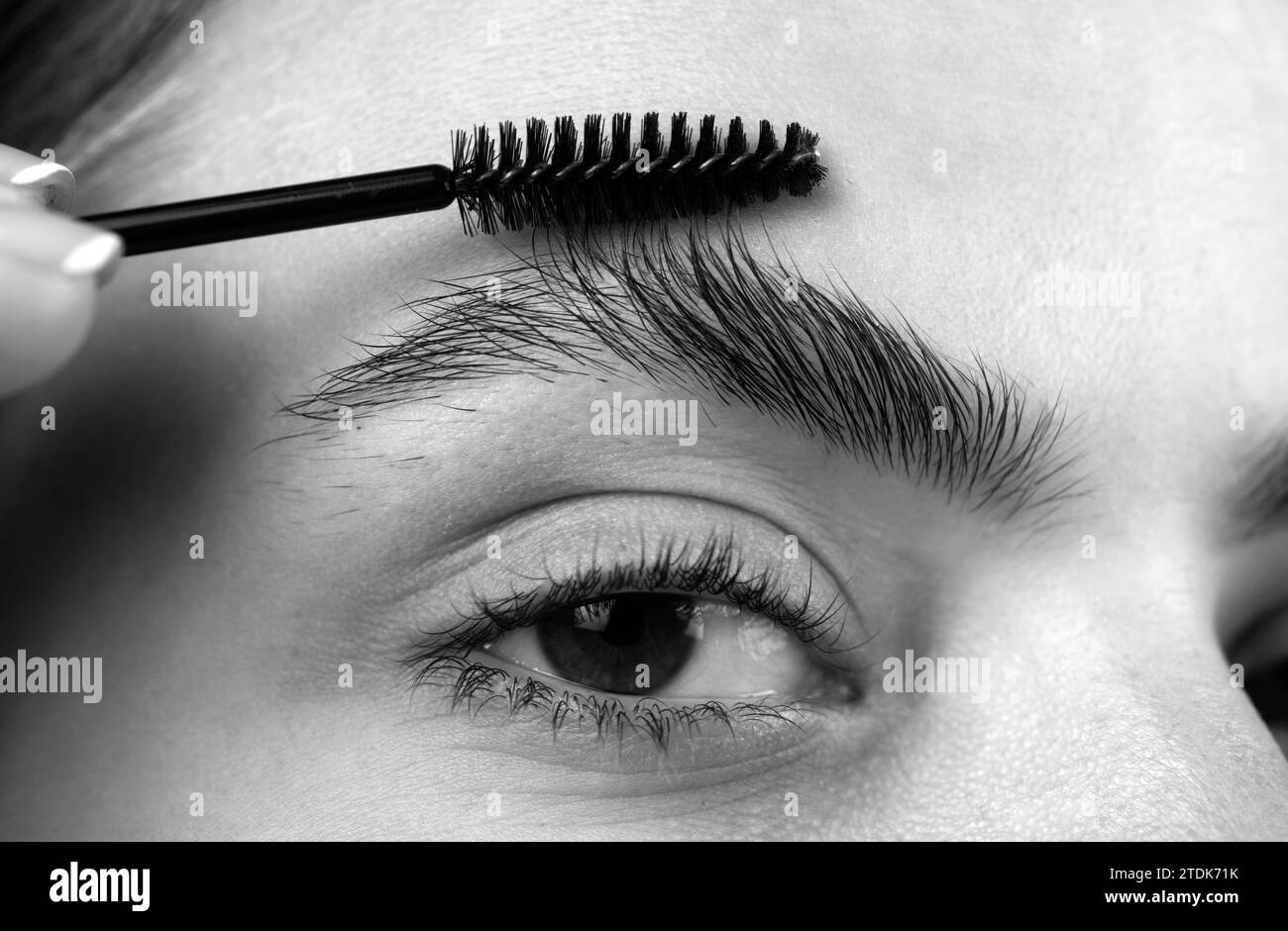 Modeling brows, gorgeous charming lady with beauty face, healthy clear ...