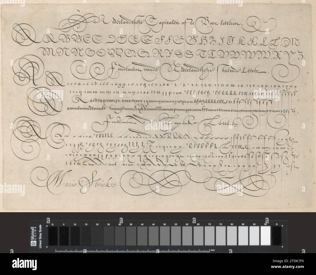 Examples of the Dutch Capitals, the Standing Letter and Cursive Hand ...