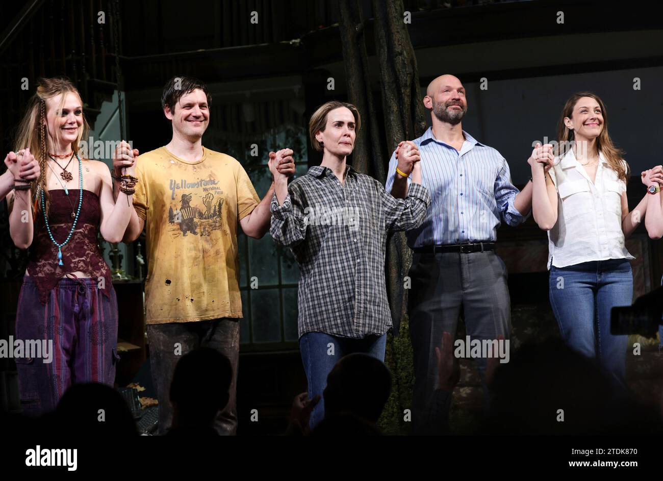 Elle Fanning, from left, Michael Esper, Sarah Paulson, Corey Stoll and ...