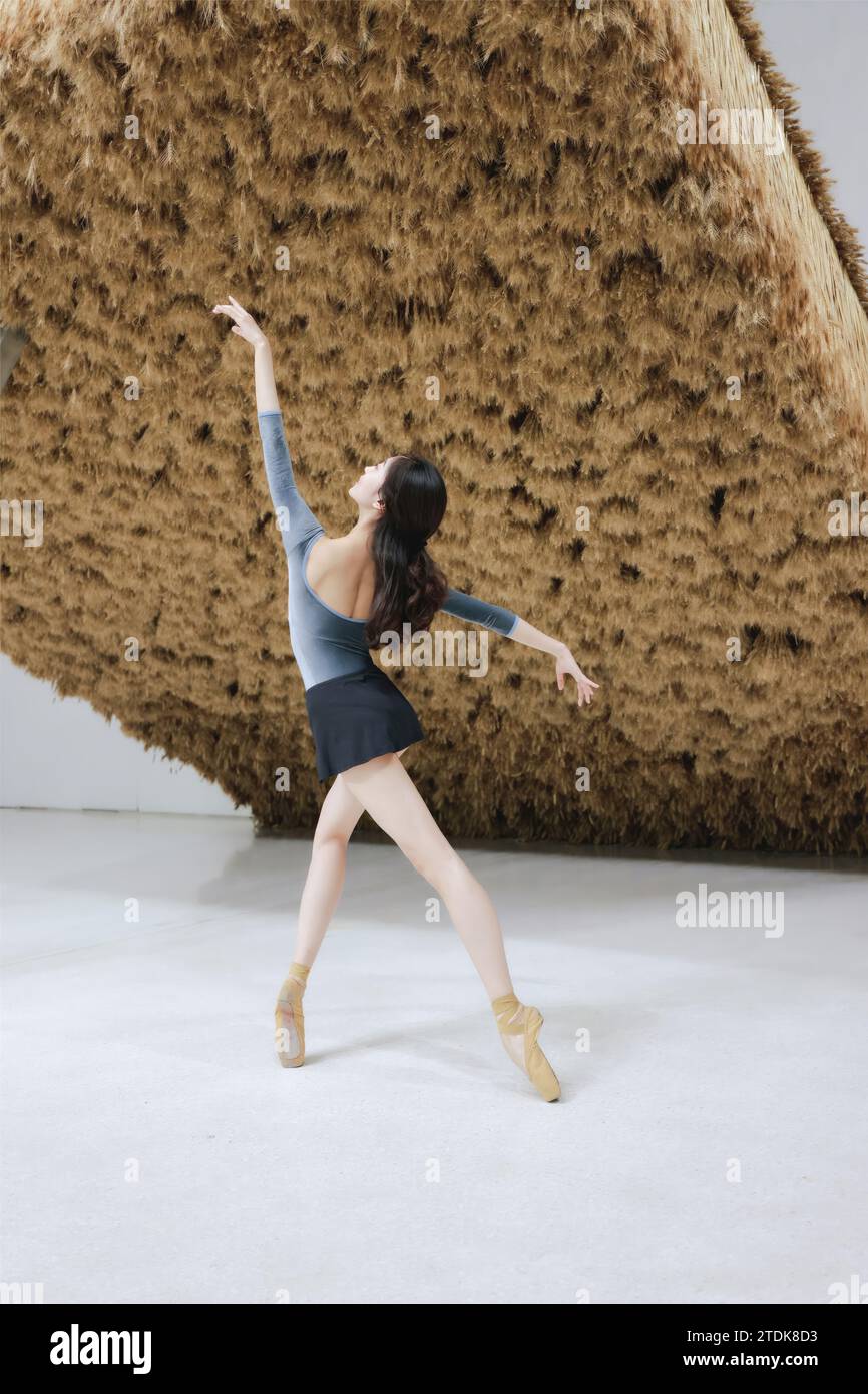 A beautiful female dancer dancing ballet in the studio Stock Photo - Alamy