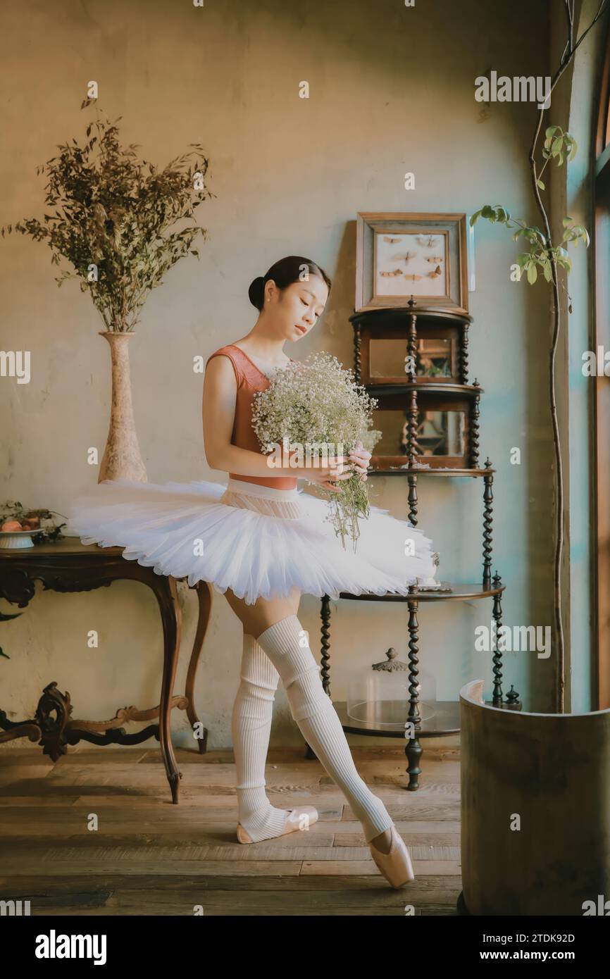 Home ballet training hi-res stock photography and images - Alamy