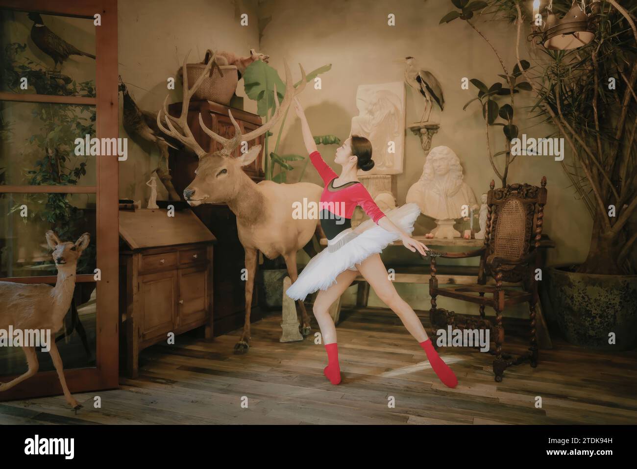 Beautiful girl practicing ballet at home, classical style Stock Photo ...