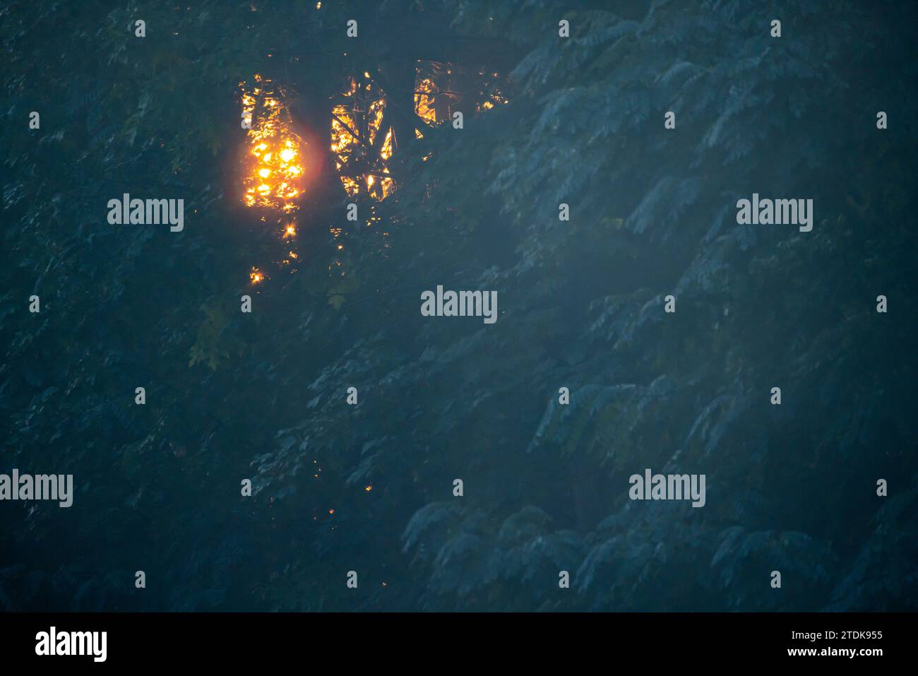 Sun peering through mist hi-res stock photography and images - Alamy